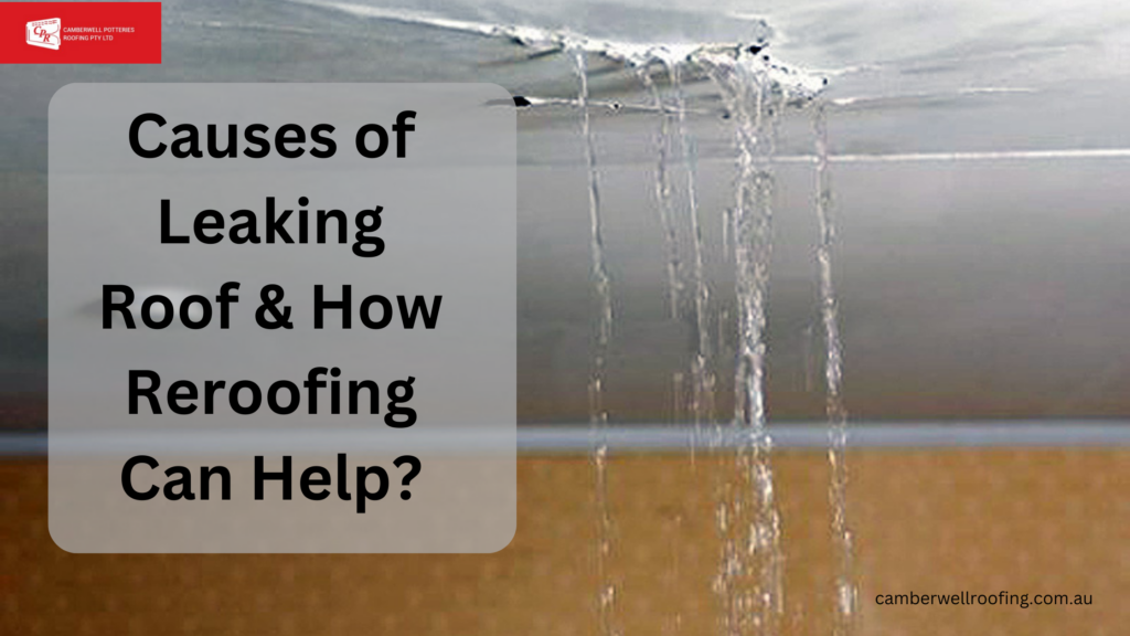 Causes of a Leaking Roof & How Reroofing Can Fix It?